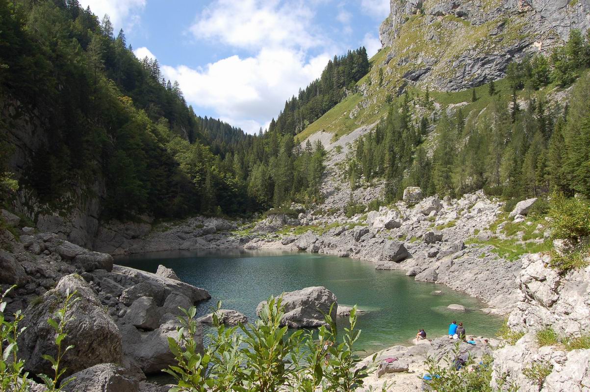 Chorvatsko, Slovinsko, Rakousko :: Divoká lodyha