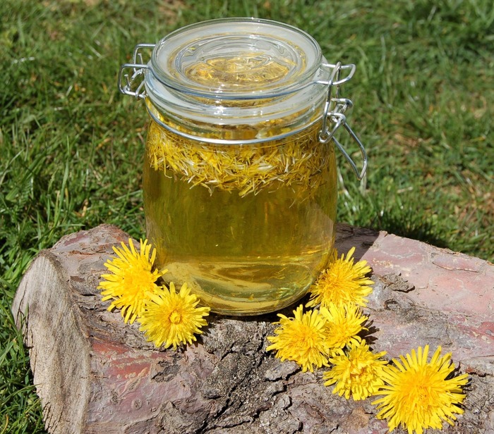 Pampeliškové víno :: Divoká lodyha