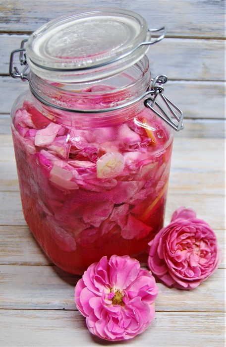 Růžový sirup :: Divoká lodyha