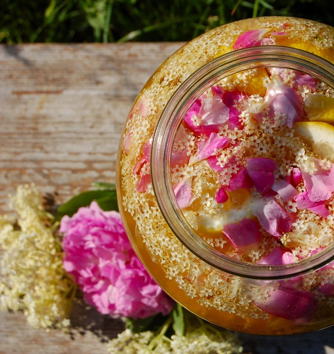 Léto :: Divoká lodyha